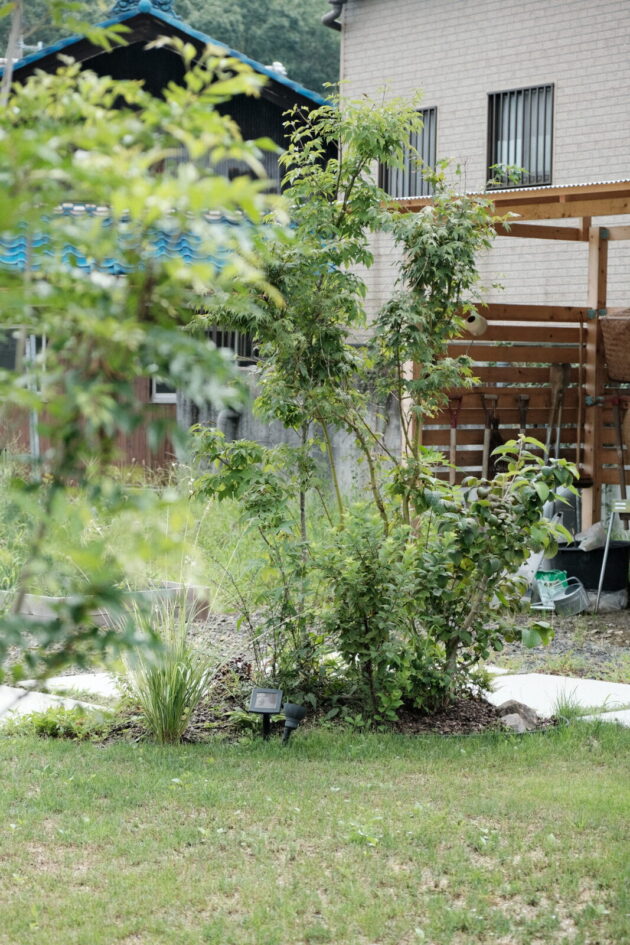 【あの人の暮らしが素敵な理由】繋がりを大切にした小さな平屋〜お庭づくりとハーブのある暮らし（hikaniwaさん） | ムクリ[mukuri]